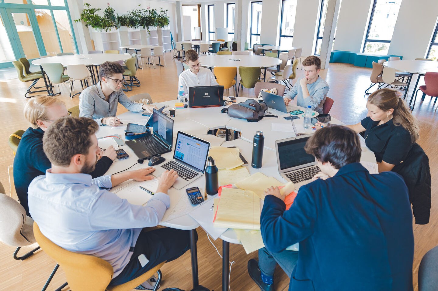 Master in Management | Antwerp Management School